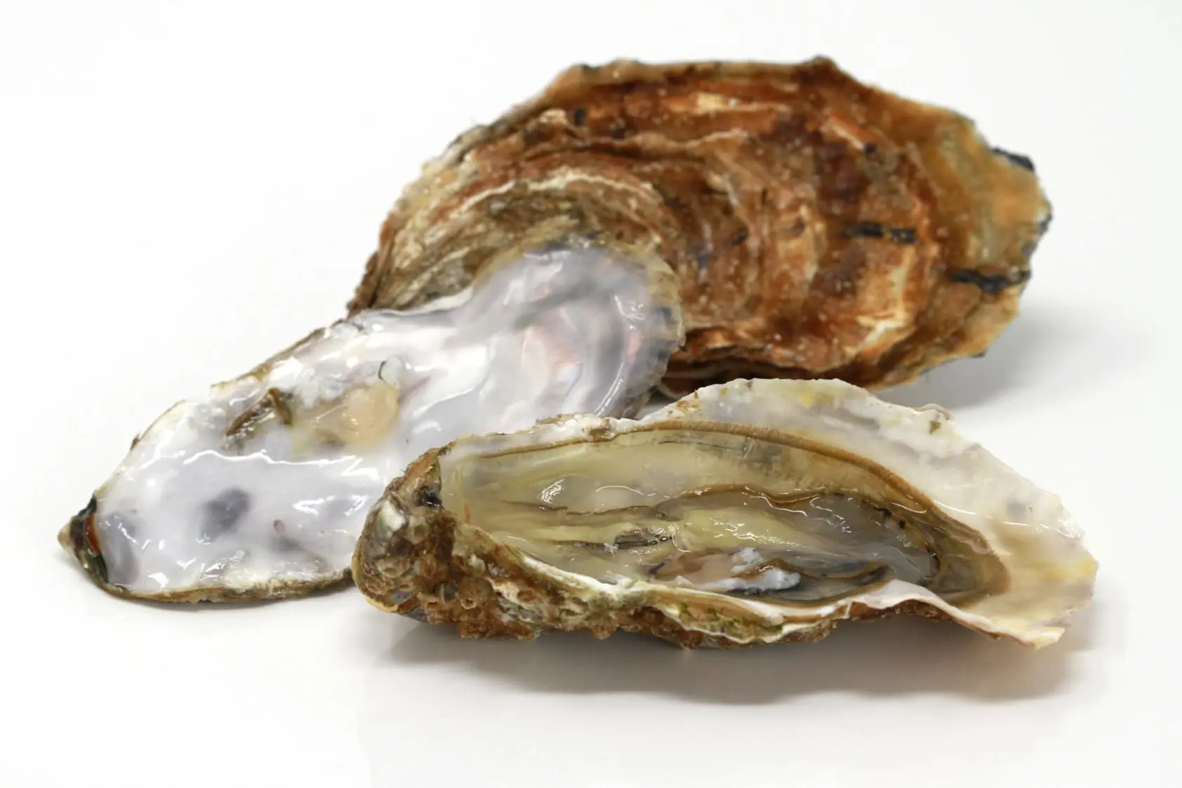 Food Notes: Seafood Sizing Charts