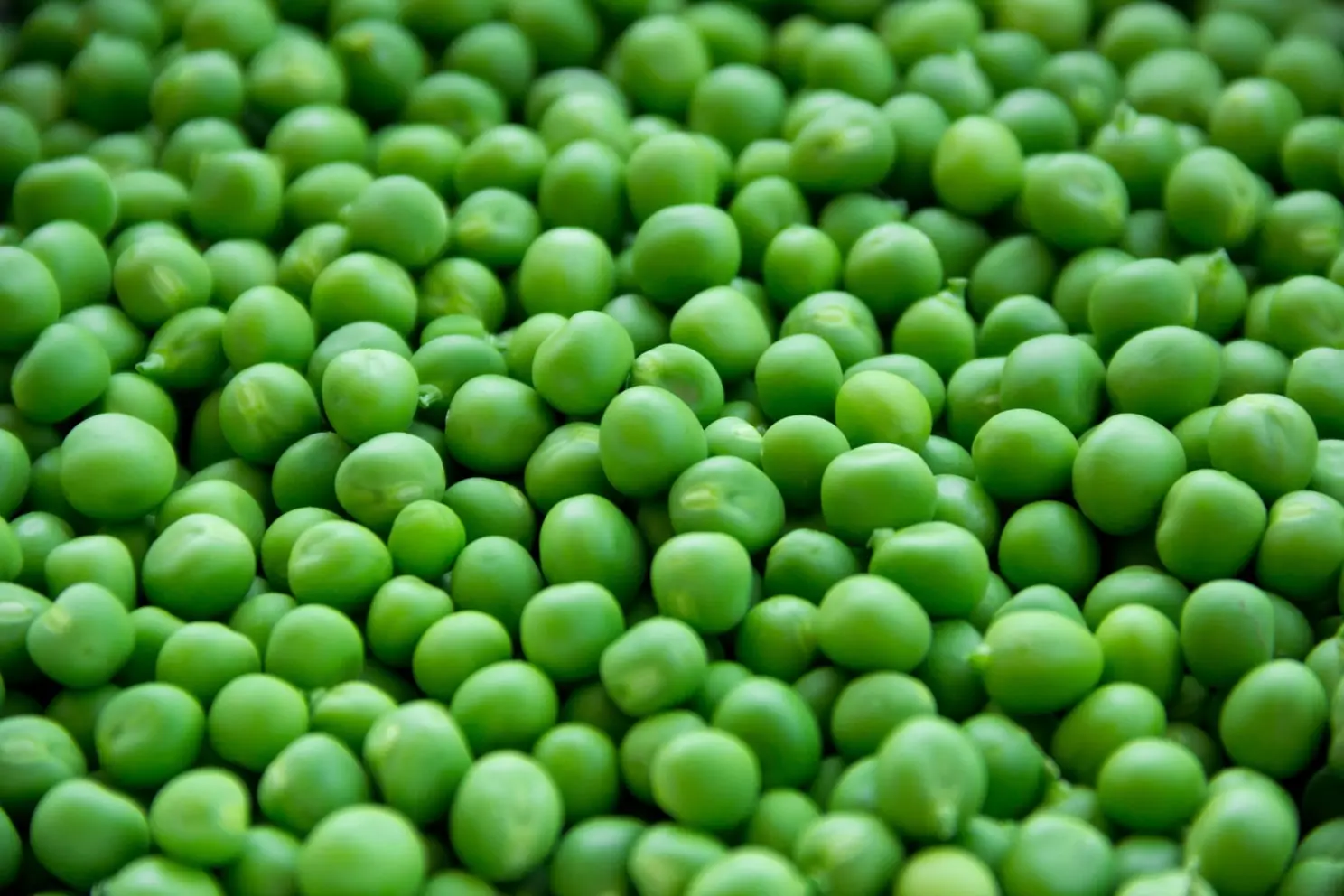 Weight Equivalents: Peas